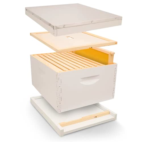 Mann Lake Complete Bee Hive Kit, Fully Assembled Beginner-Friendly Bee ...
