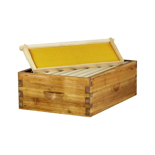 Hoover Hives 8 Frame Medium Super Box for Honey Bee Hives - an Essenti ...