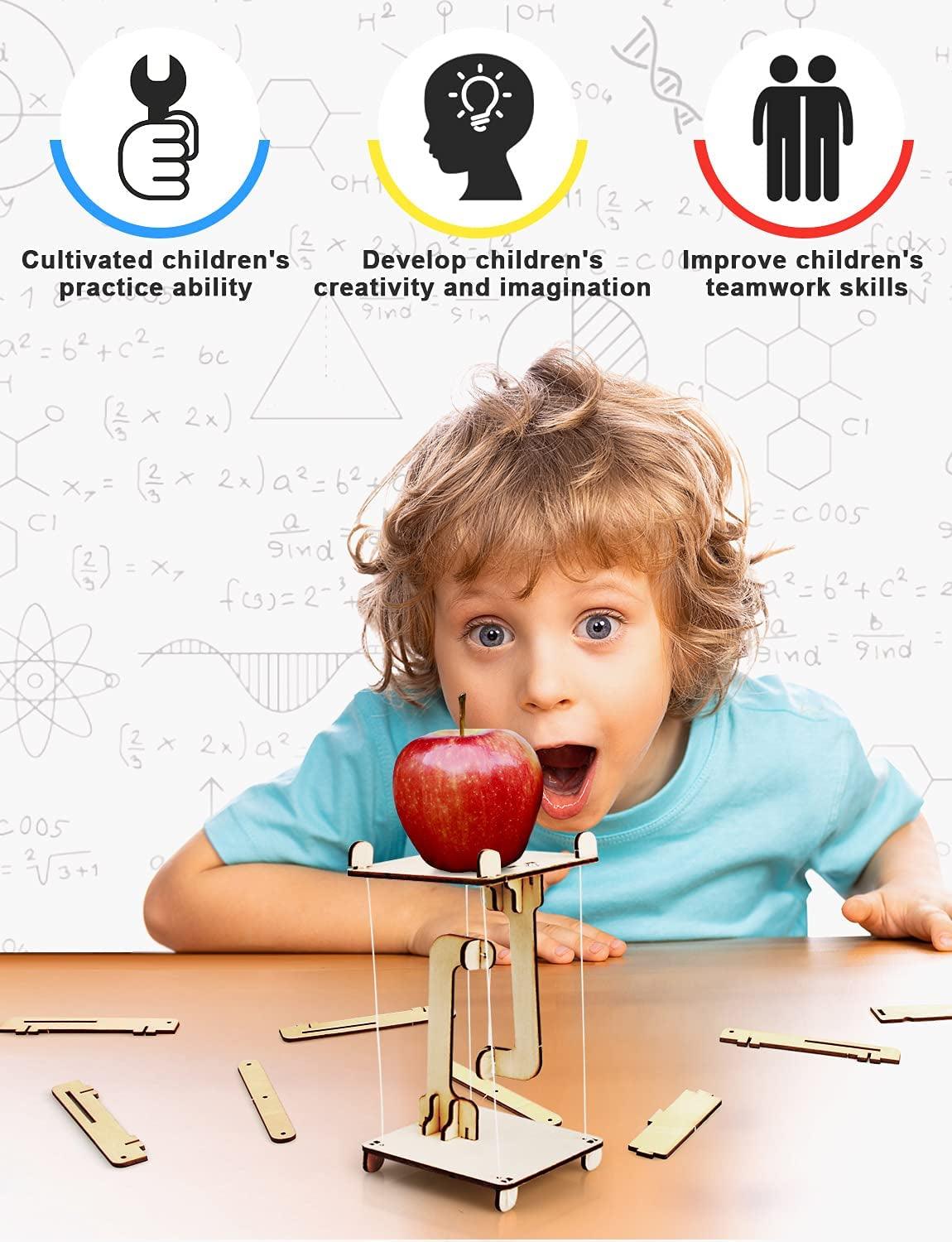 6 in 1 STEM Kit, Science Experiment STEM Projects Educational 3D Wooden ...