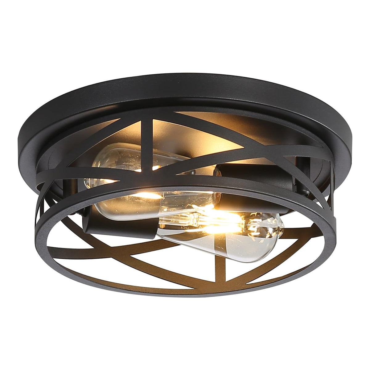 Sewterolyn Black Flush Mount Ceiling Light Fixture,2-Light Industrial ...