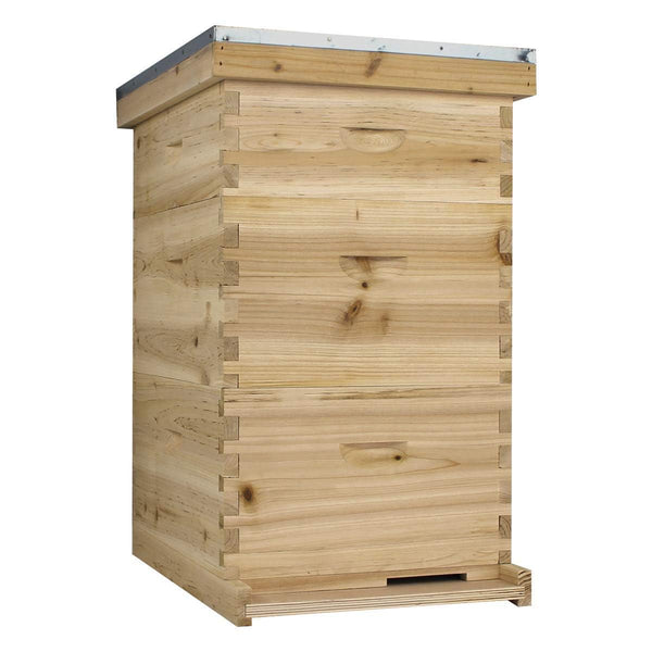 NuBee Starter 10 Frame Beehive Kit - Includes 2 Hive Bodies, 1 Super B ...