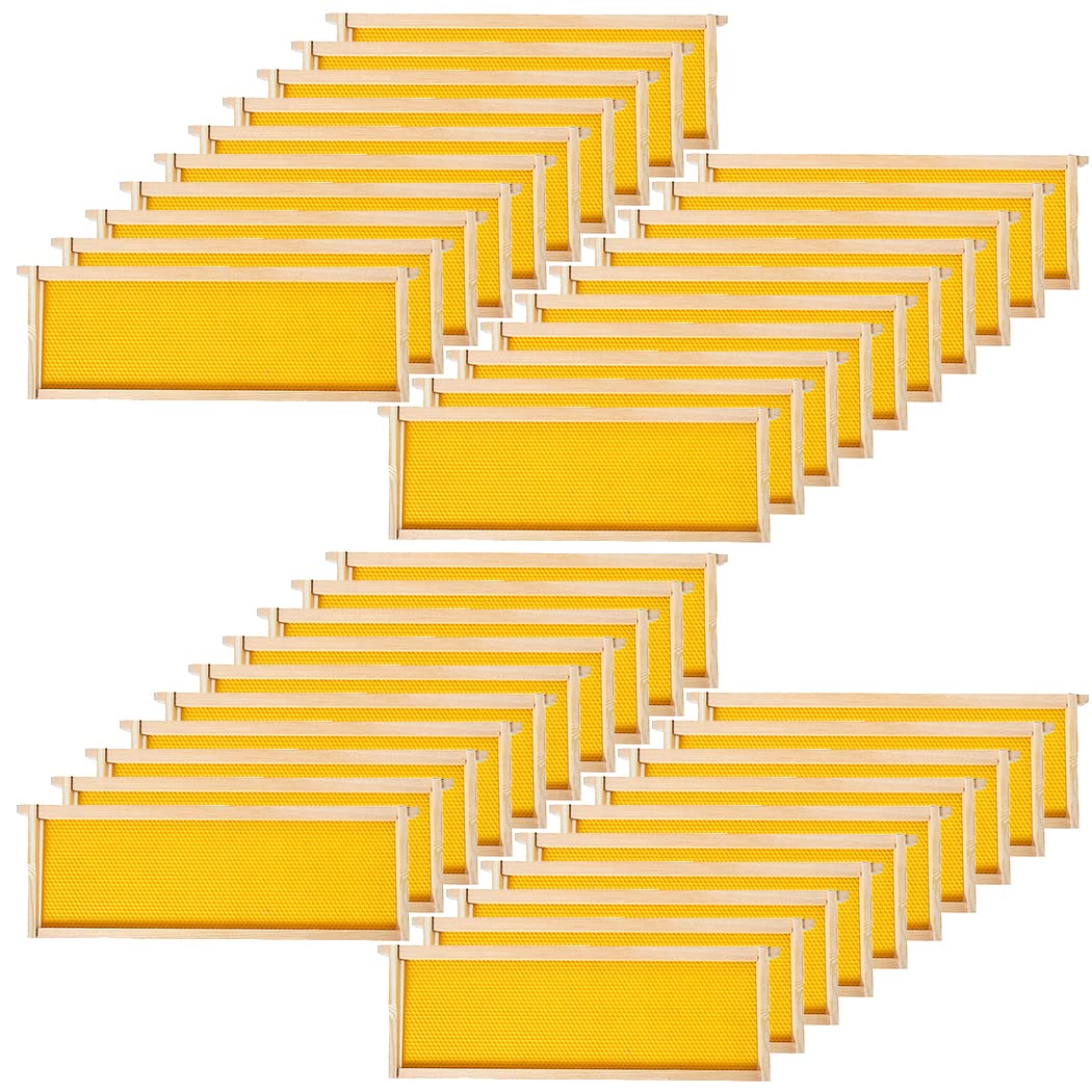 BeeCastle 40-Pack Beehive Bee Frames Waxed Foundation with Complete ...