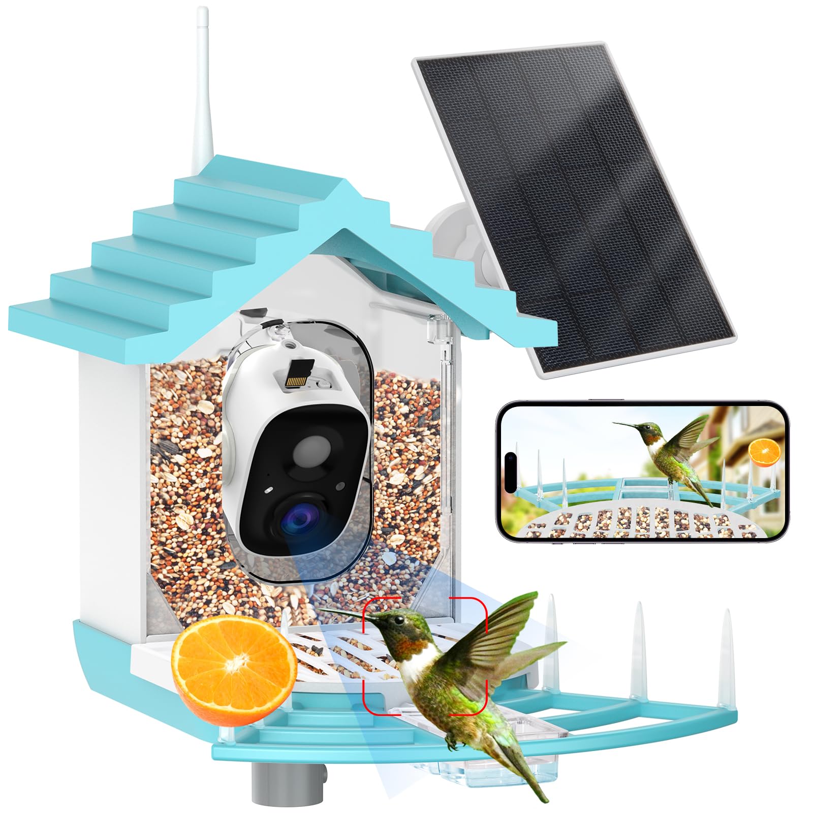 Bird Feeder with Camera - AI Identify Bird Species,Live View,Instant ...