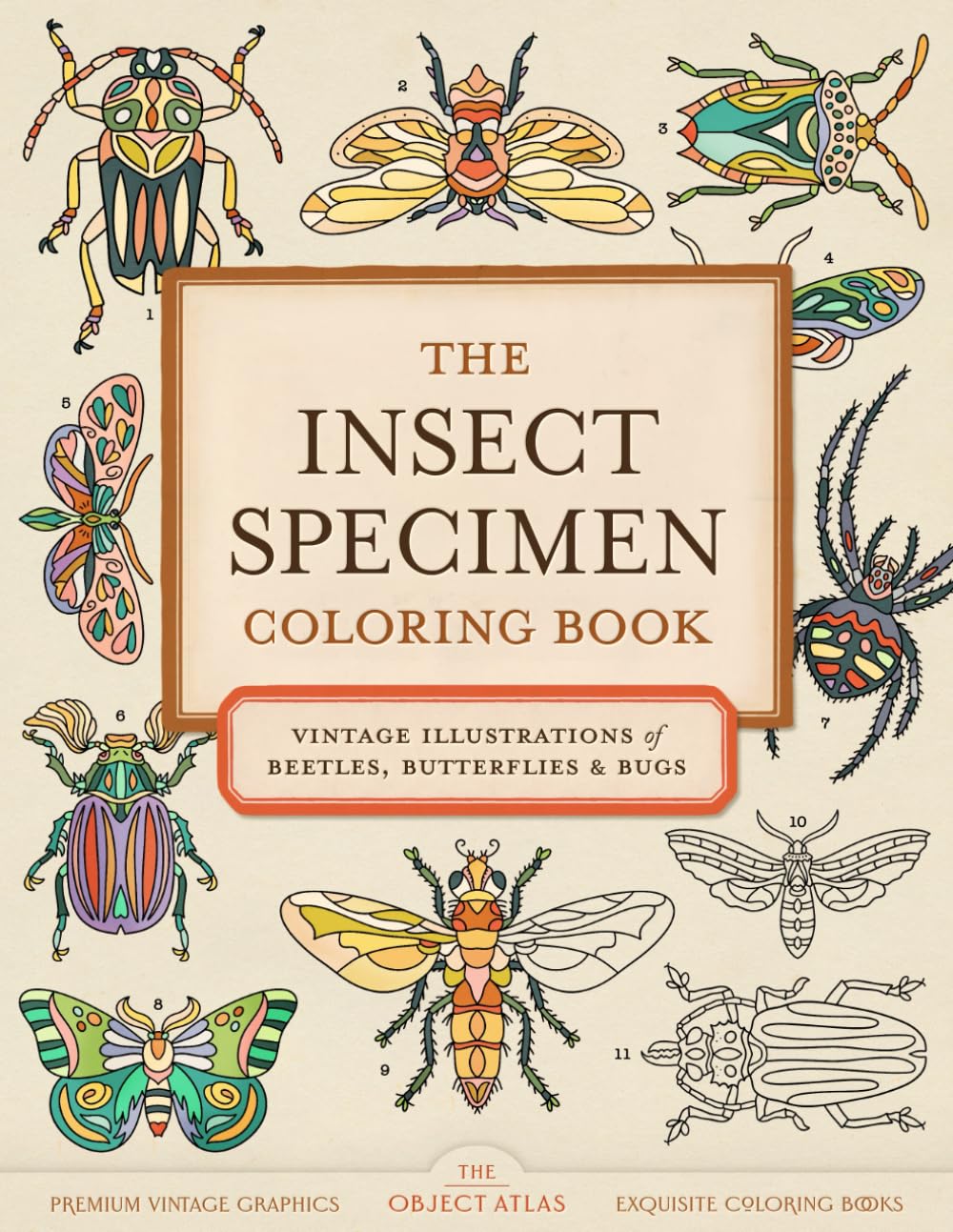 The Insect Specimen Coloring Book: Vintage Illustrations of Beetles, B ...
