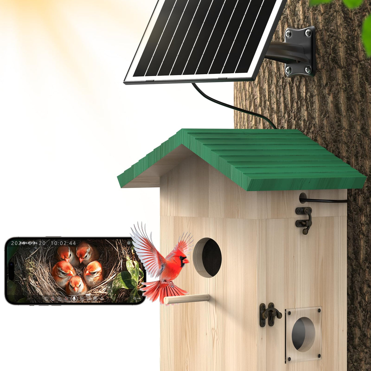 Smart Bird House Camera Solar Powered, 2K HD Wi-Fi Bird Watching Camer ...