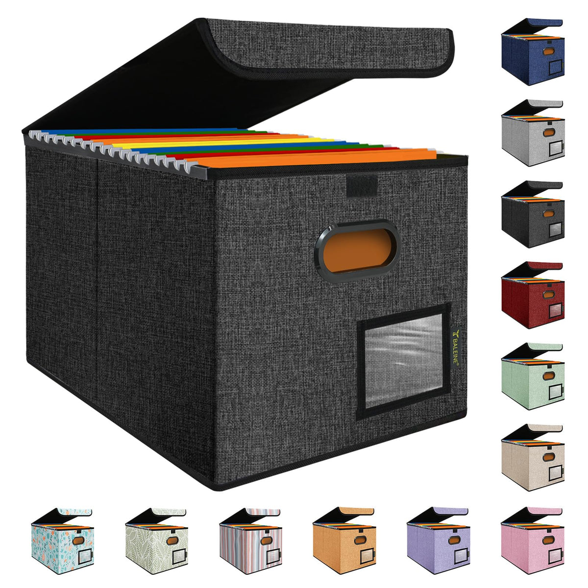 BALEINE File Organizer Box with Lid, Collapsible File Folder Organizer ...