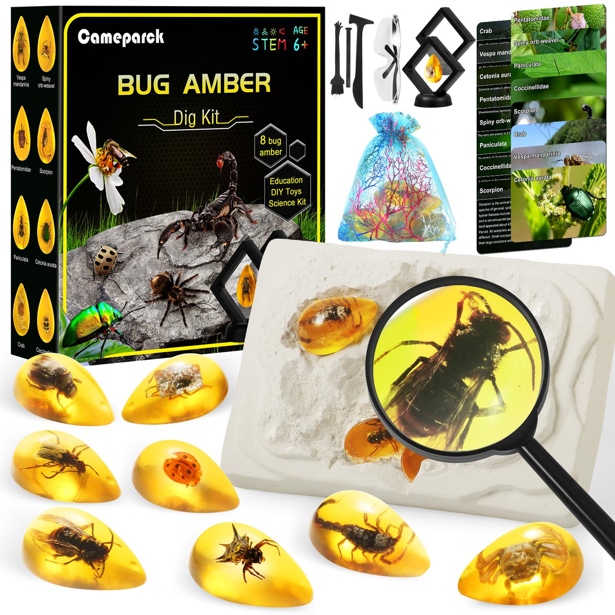 Bigger Amber Dig Kit - 8 Different Artificial Insect Resin,Excavate Un ...