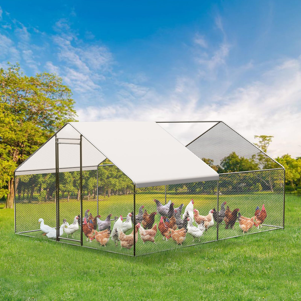 Large Metal Chicken Coop, 13.1 Ft Large Chicken Runs for Yard with Cov ...