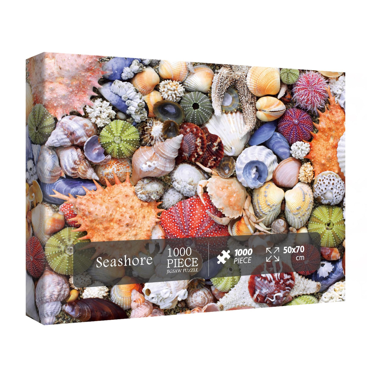 Colorful Seashell Puzzle for Adult 1000 Piece, Ocean Beach Puzzle 1000 ...