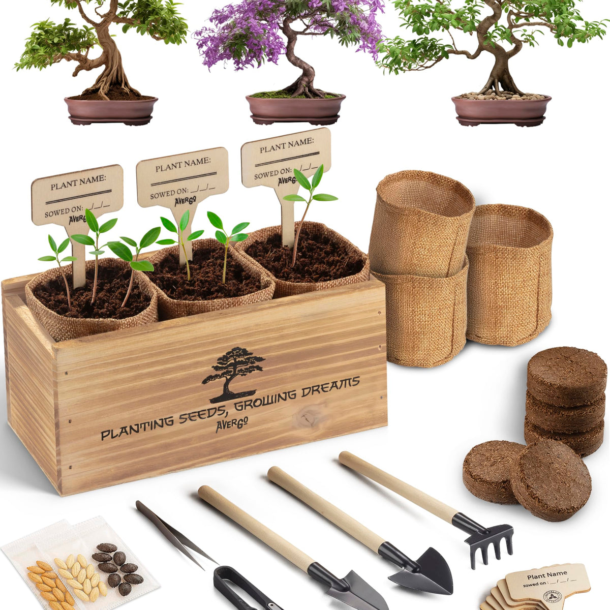 Avergo Bonsai Tree Kit – 3X Unique Japanese Bonzai Trees | Complete In ...