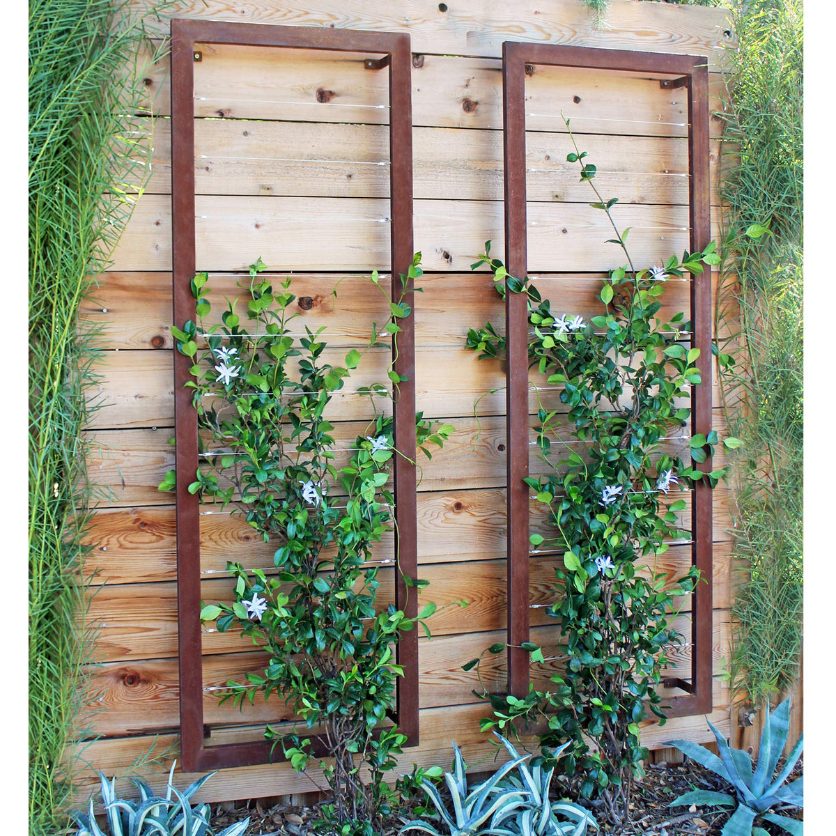 TERRA TRELLIS Ina Modern Wall Trellis for Outdoor Plants | Garden and ...
