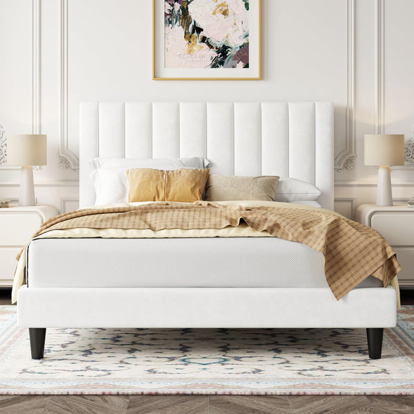 Allewie Full Platform Bed Frame/Velvet Upholstered Bed Frame with Vert ...