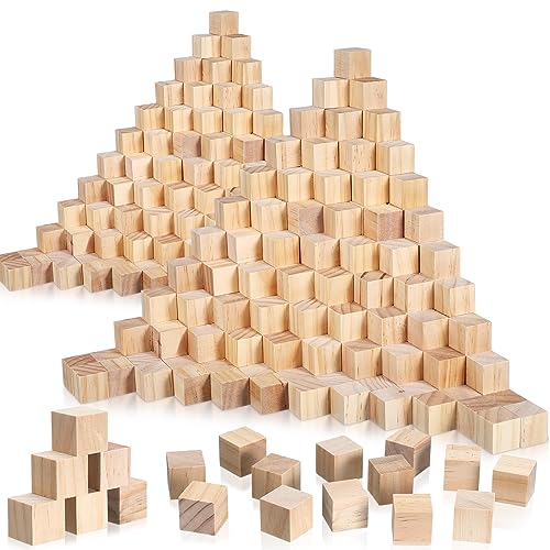 Barydat 300 Piece 1 Inch Wooden Cube Unfinished Wooden Craft Cube ...