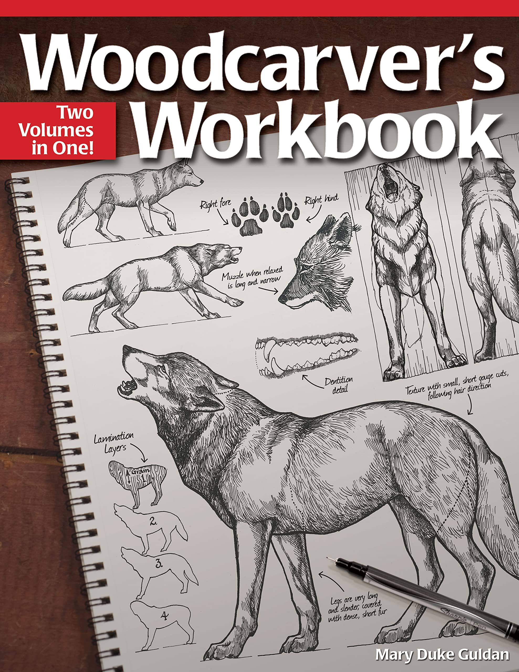 Woodcarver's Workbook: Two Volumes in One! (Fox Chapel Publishing) 16 ...
